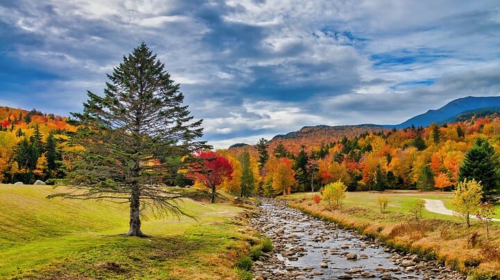 10 Thanksgiving Road Trip Ideas to Remember for the Perfect Holiday ...