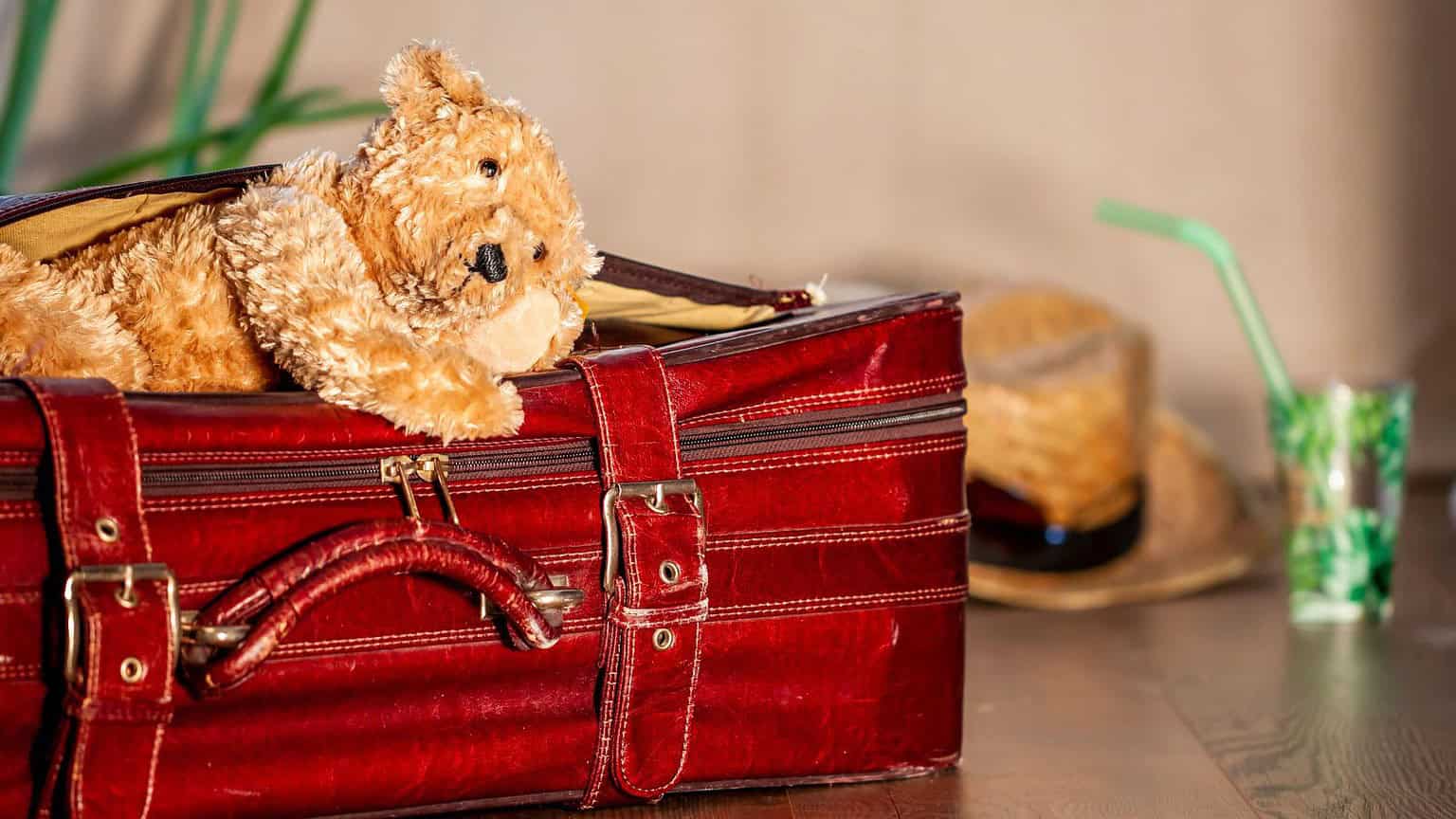 14 Helpful Tips For When You're Traveling With Toddlers - We Travel, We ...
