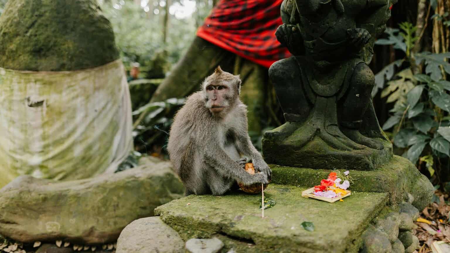 15 Romantic Getaways for Couples in Southeast Asia - We Travel, We Bond