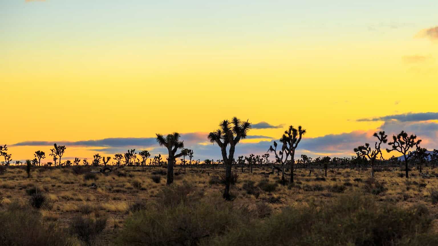 17 Iconic National Parks That'll Make You Fall in Love With America ...