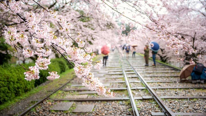 Plan Your Early Spring Getaway with These 15 Stunning Places - We ...
