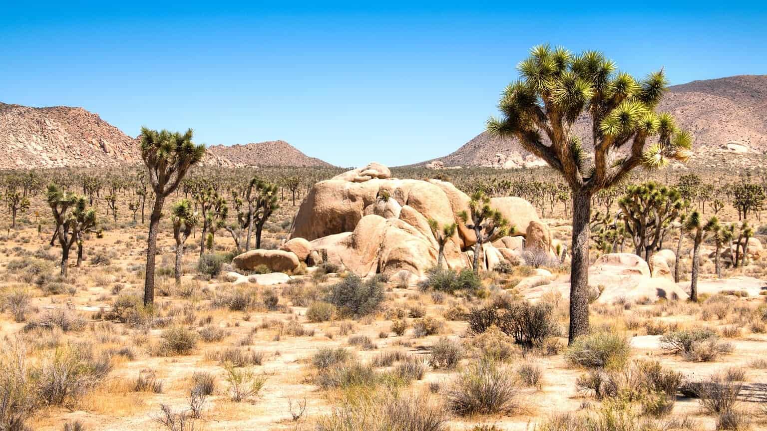 15 U.S. Destinations That Come Alive When Spring Arrive - We Travel, We ...