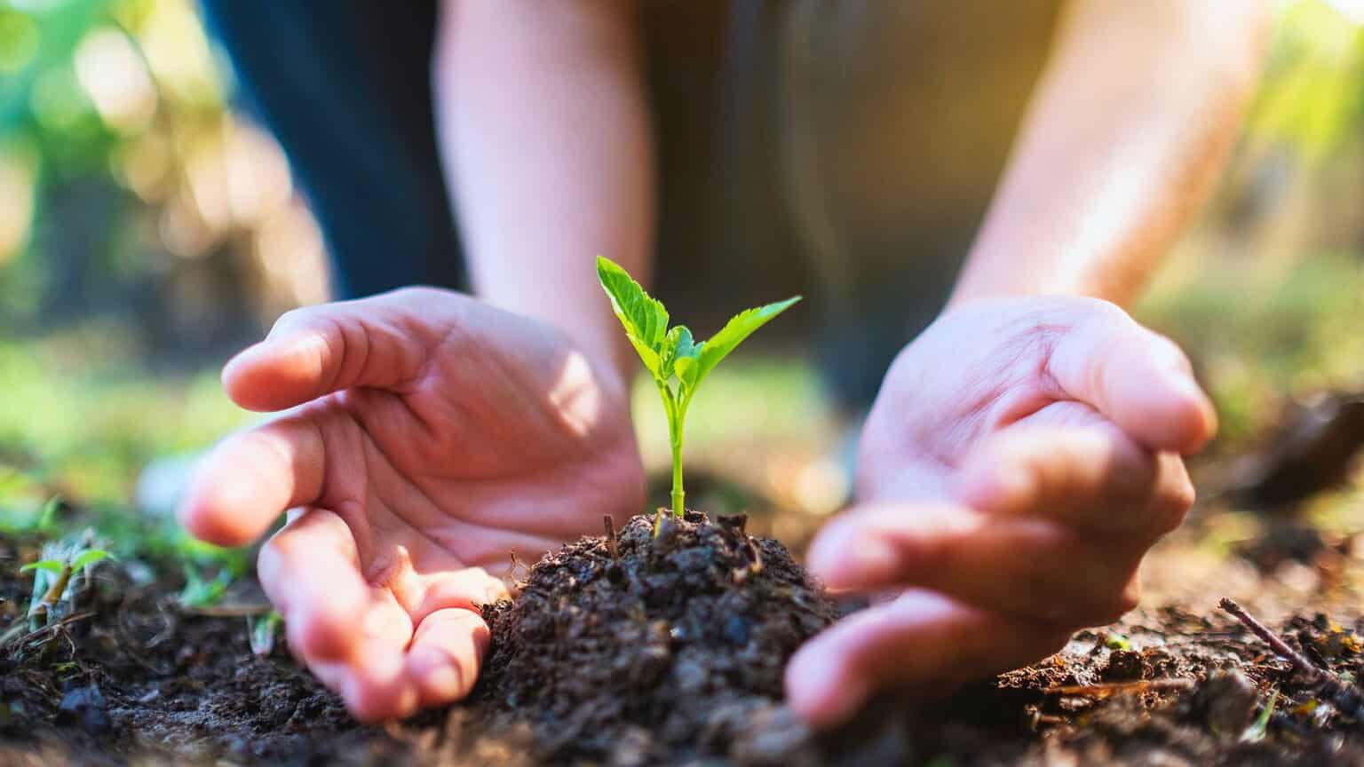 15 Resolutions You Should Do While Making a Difference in the World ...
