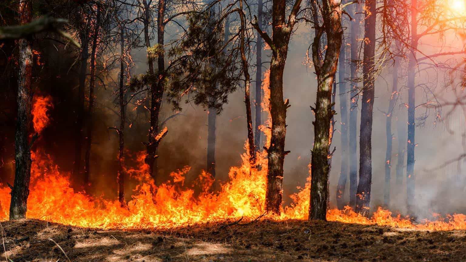 The 13 Most Dangerous Places to Be During a Natural Disaster - We ...