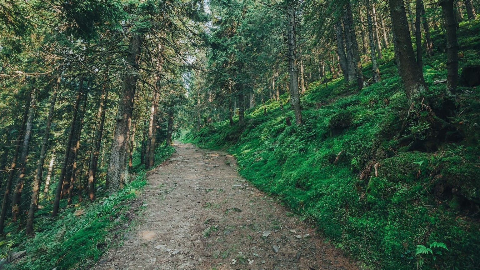 10 Pacific Shoreline Walks That Peak During Springtime - We Travel, We Bond