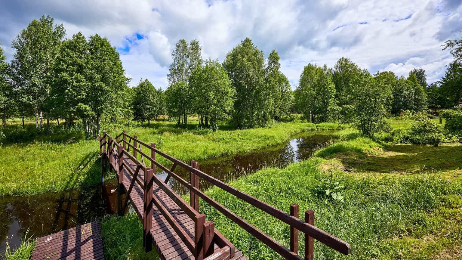 Top 10 Places With the Best Birdwatching Spots in the U.S. - We Travel ...