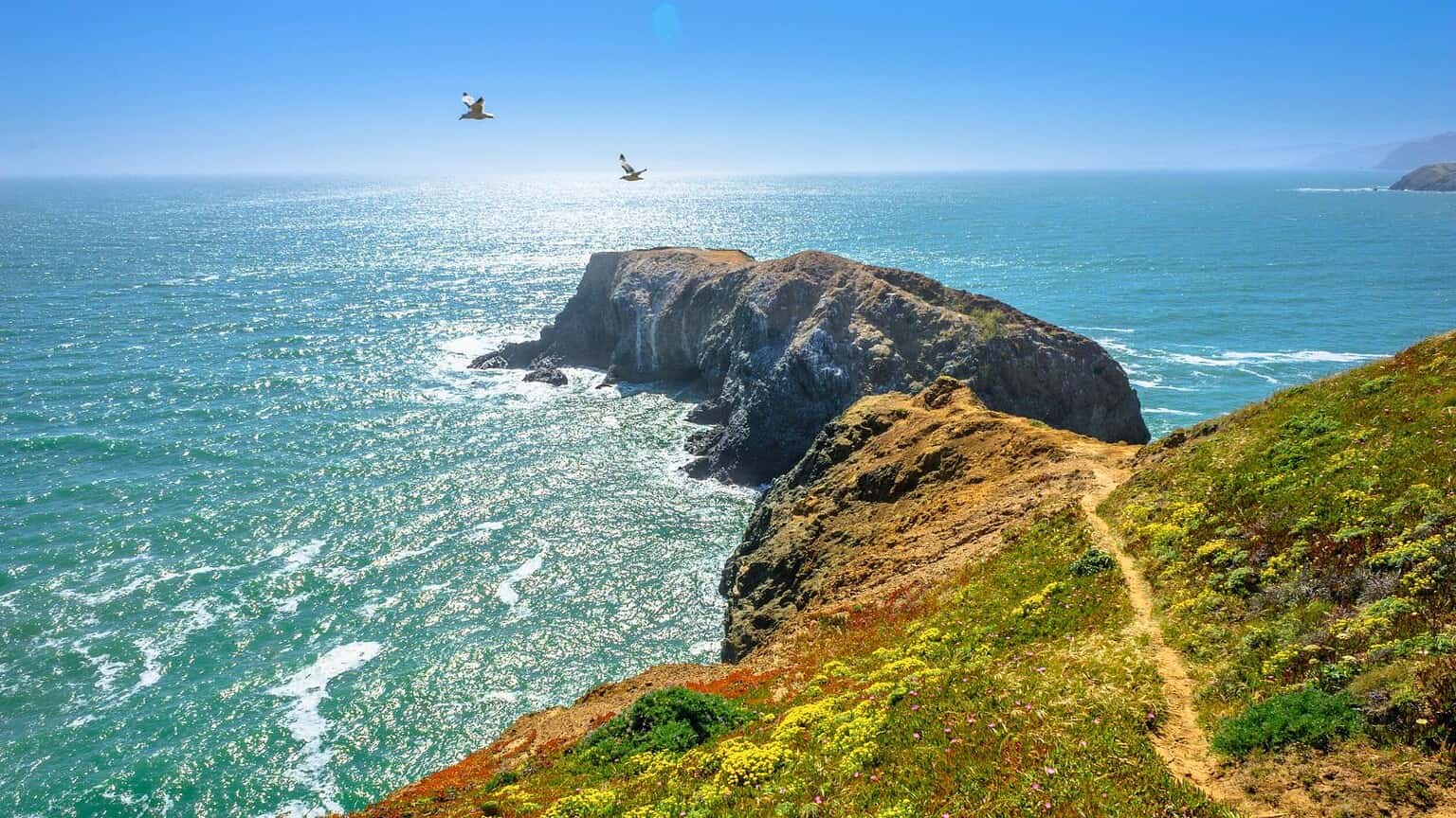 Top 10 Places With the Best Birdwatching Spots in the U.S. - We Travel ...