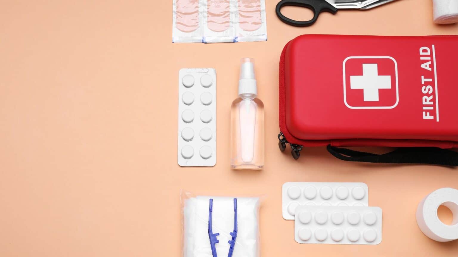 13 Effective Tips to Stay Healthy and Feel Great While Traveling - We ...