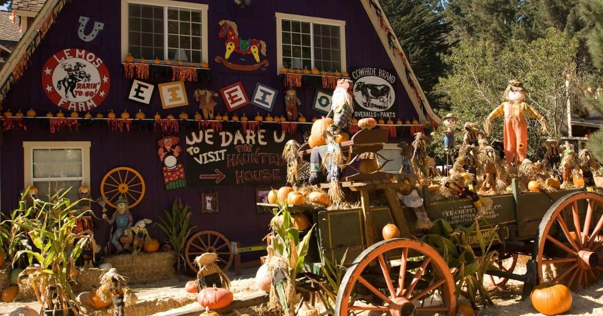 Best Pumpkin Patches and Pumpkin Farms Near the Northeast