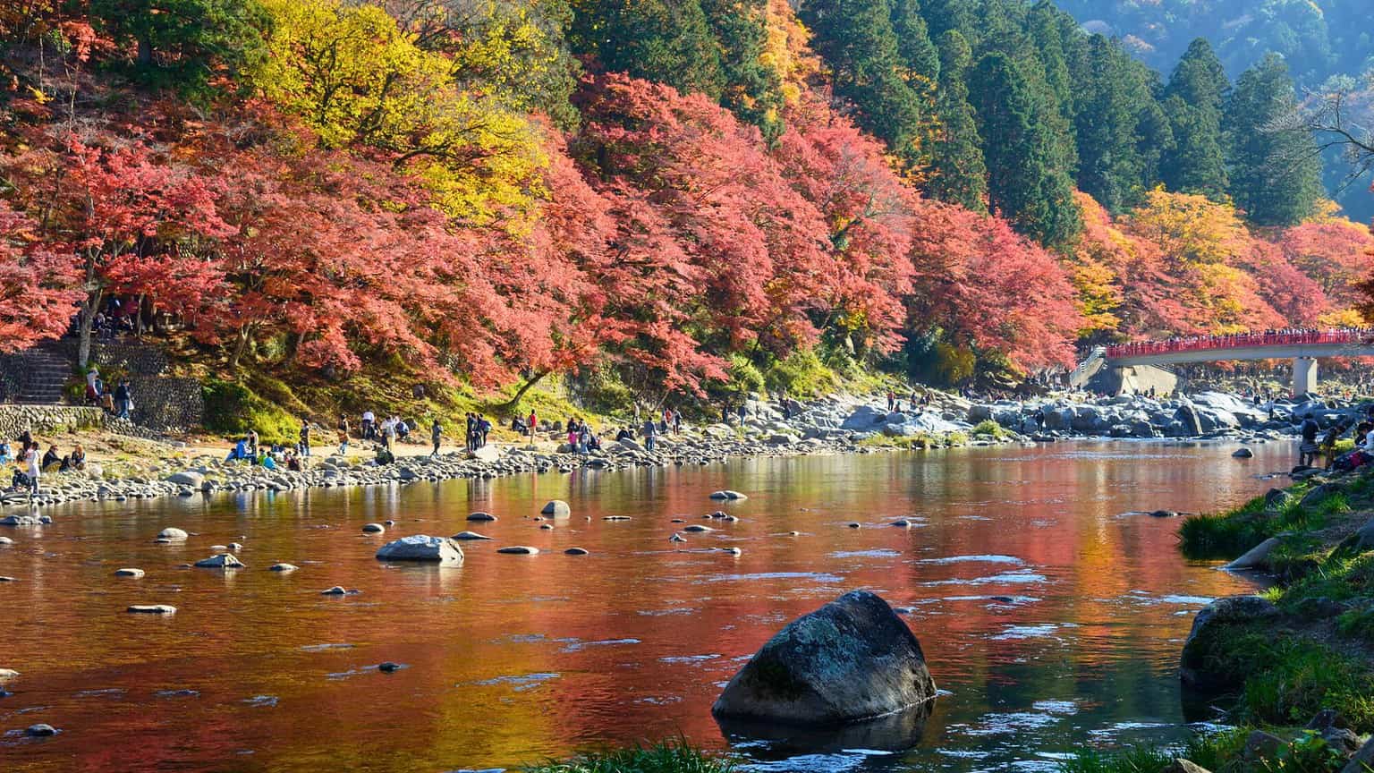 12 Japanese Countryside Places for Families Who Love to Travel