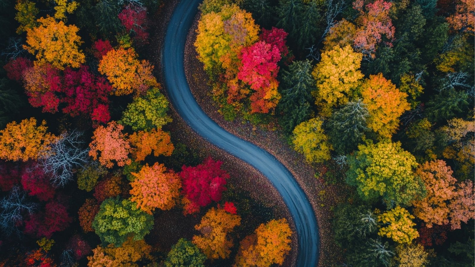 13 American Road Trips That Feel Easier After 40